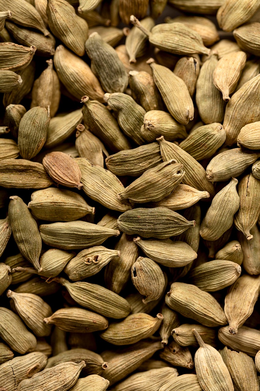 Eliche Plant Seedplanting Methods - Free photo on Pixabay