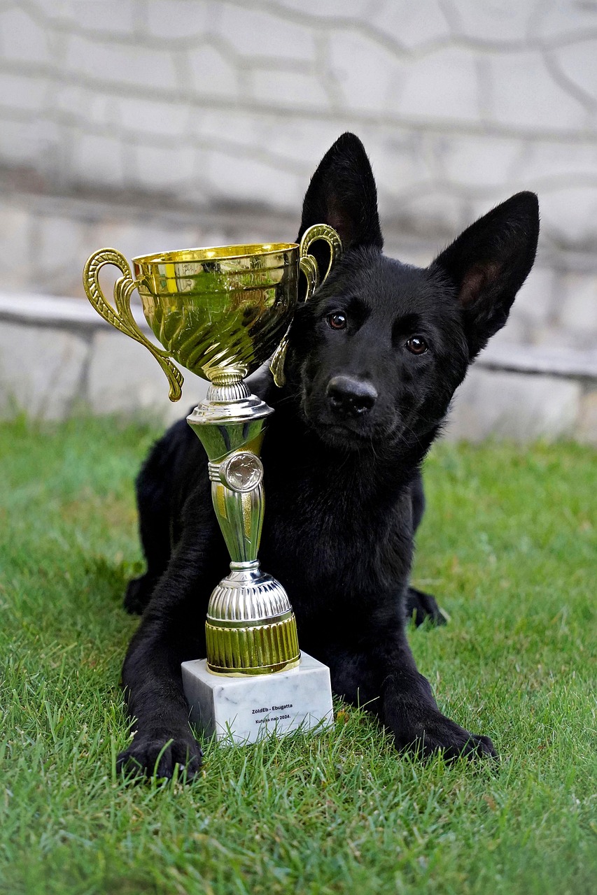 Animal Dog Trophy - Free photo on Pixabay