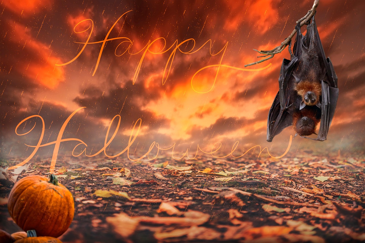 10,000+ Free Halloween Bats & Halloween Images - Pixabay