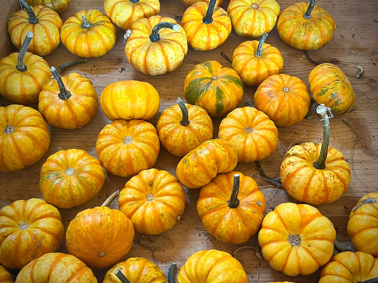 Ornamental Pumpkin Autumn - Free photo on Pixabay