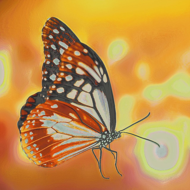 Download Butterfly, Painting, Paint. Royalty-Free Stock Illustration ...