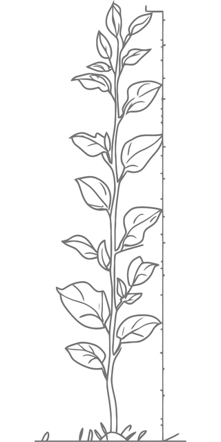 Download Dxf Plant, Plant Image Dxf, Plant Dxf File. Royalty-Free ...