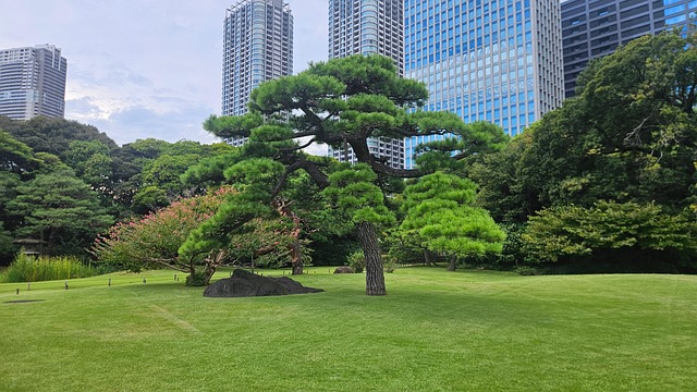 Hamarikyu Japan Garden - Free photo on Pixabay