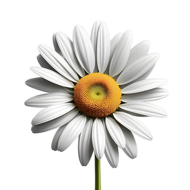 Ai Generado Margarita Flor Imagen Gratis En Pixabay