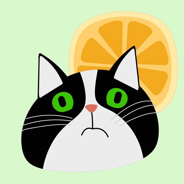 Download Cat, Lemon, Fruit. Royalty-Free Stock Illustration Image - Pixabay