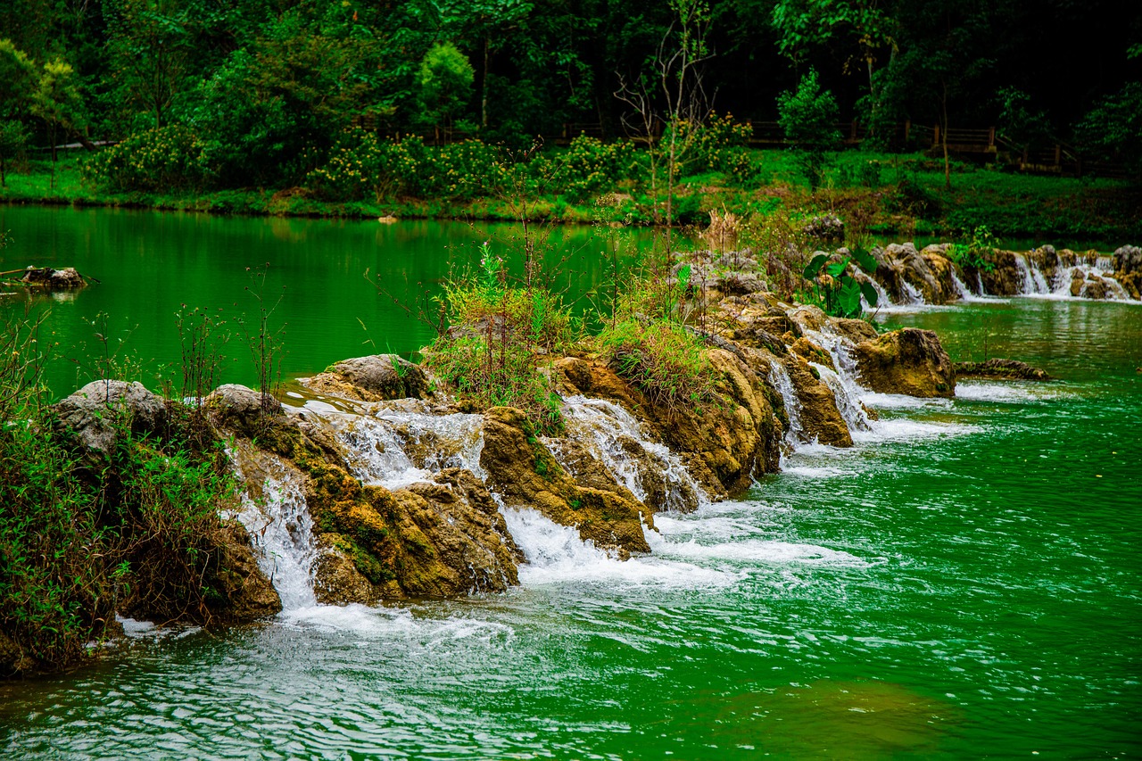 Nature Brook River - Free photo on Pixabay