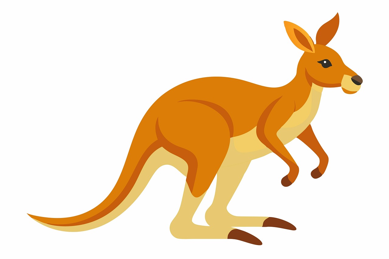 Explore 40,871+ Free Kangaroo Cartoon Illustrations: Download Now - Pixabay