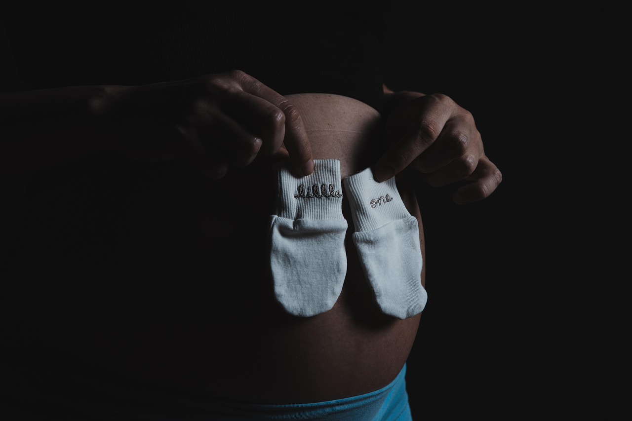 Embarazada El Embarazo Mujer - Foto gratis en Pixabay