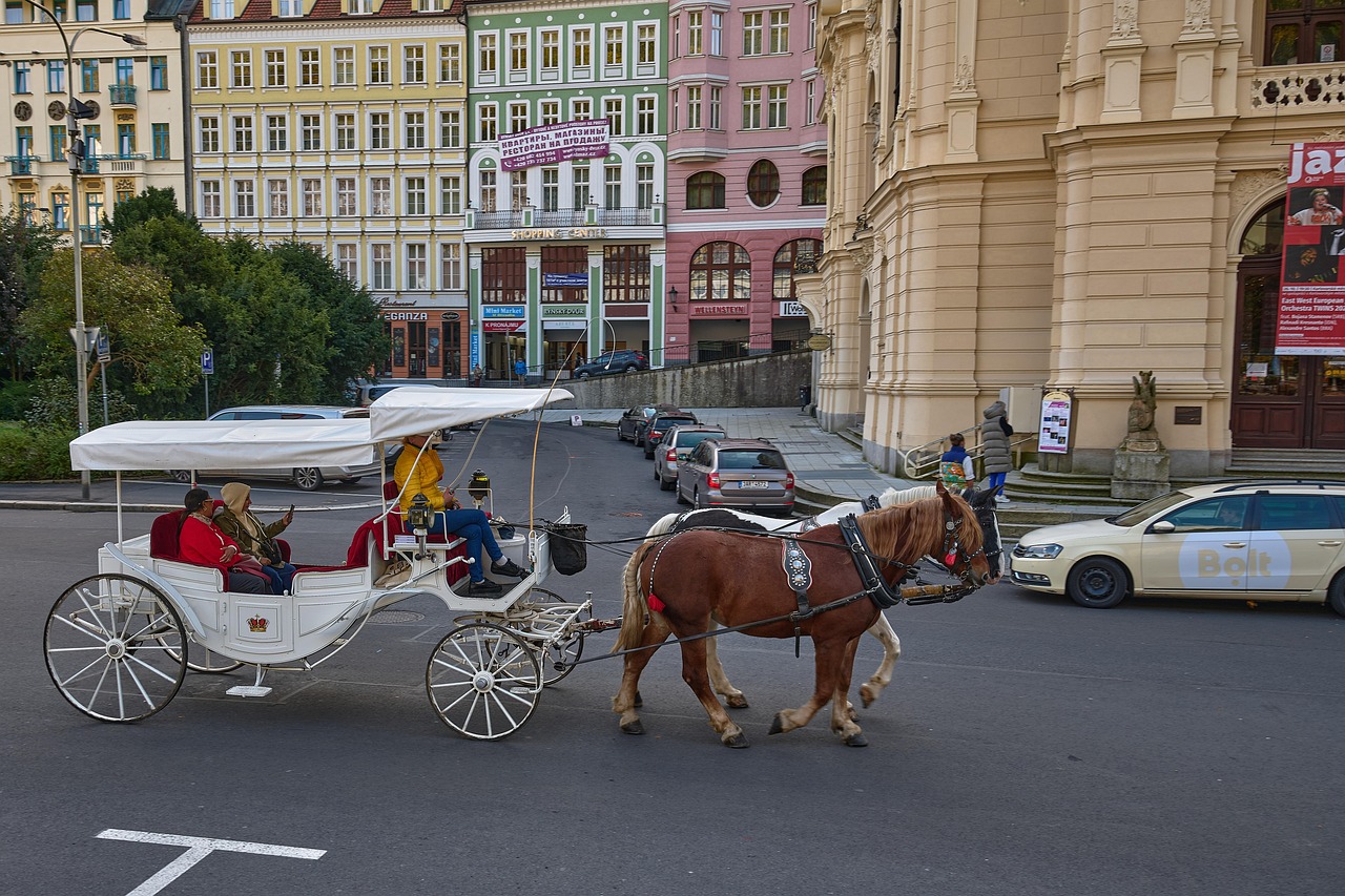 Animals Walk Horse Carriage - Free photo on Pixabay