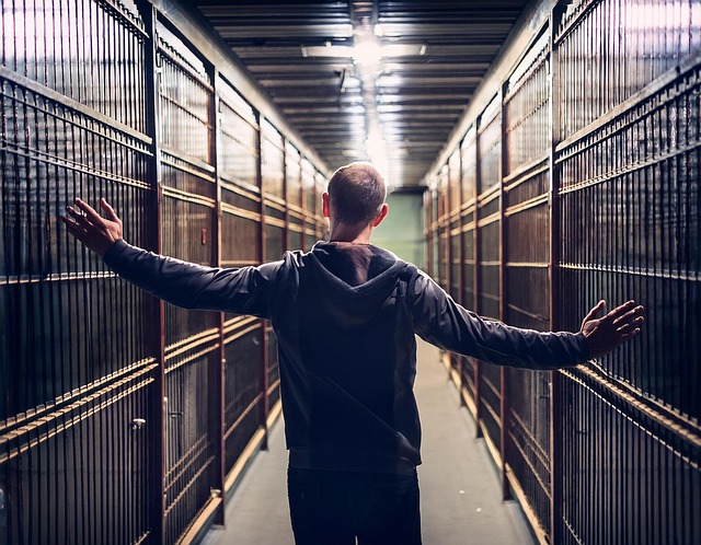 8,000+ Free Jail Bars & Jail Images - Pixabay