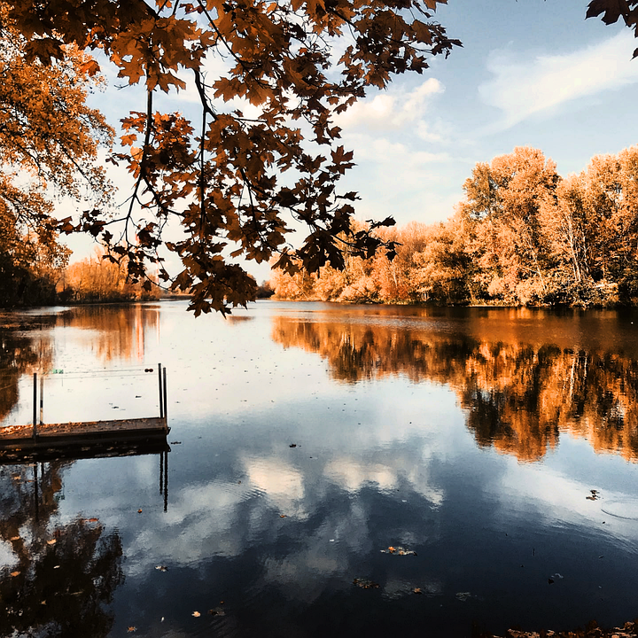 Pond Autumn Fall - Free photo on Pixabay