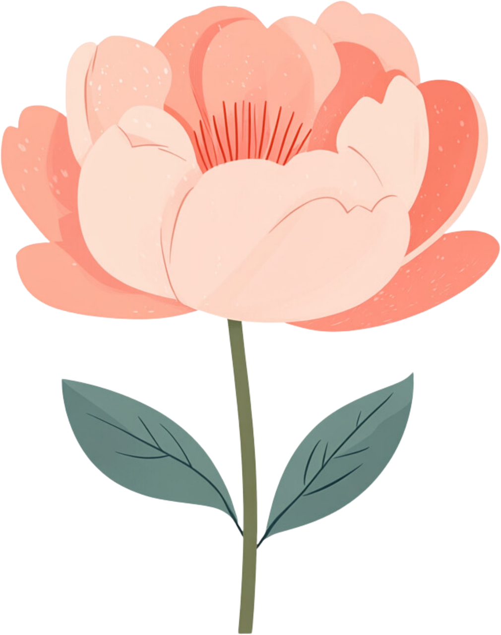 Download Flower, Magnolia Festival, Magnolia. Royalty-Free Stock ...