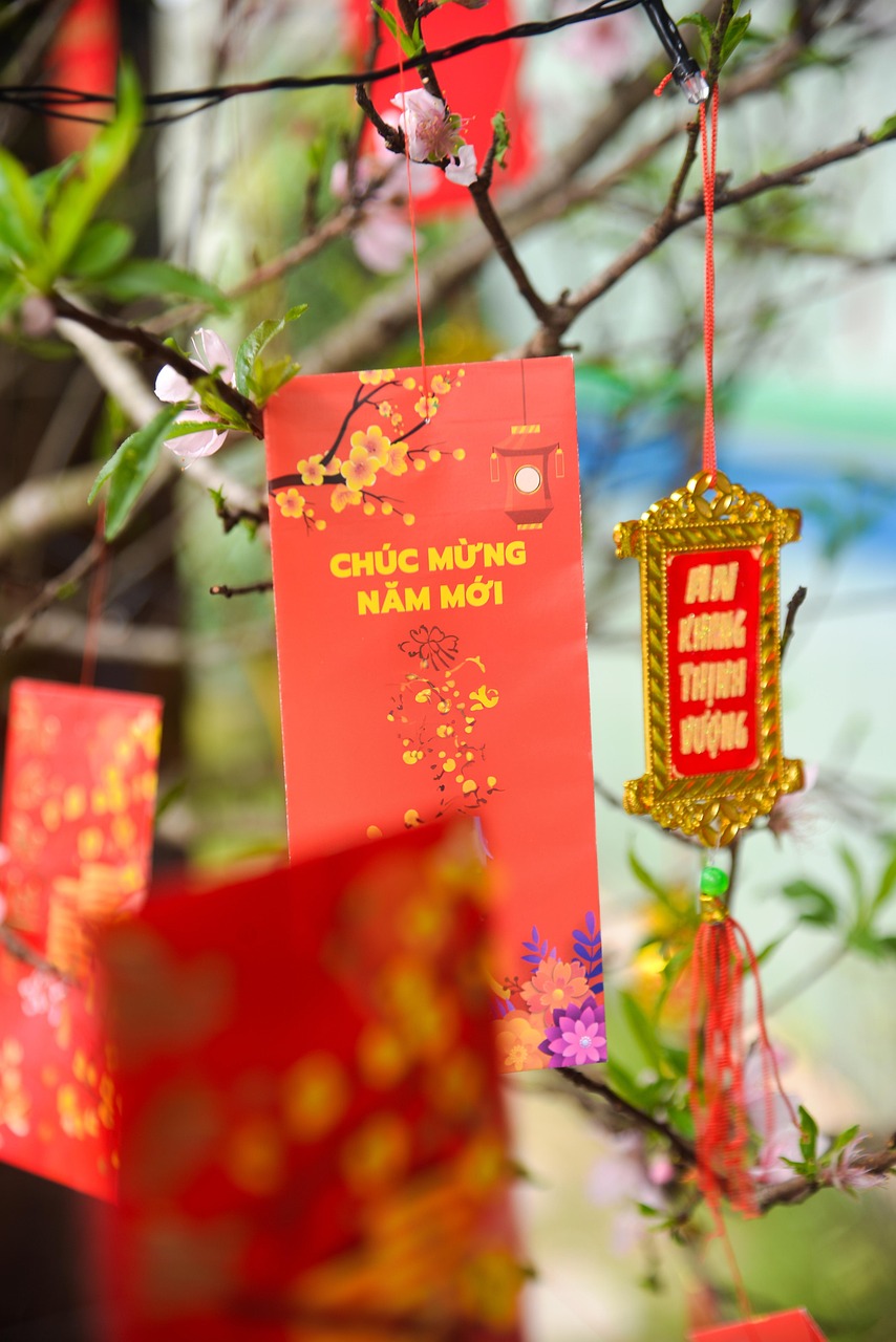 Lucky Money Tet Flower Peach - Free photo on Pixabay