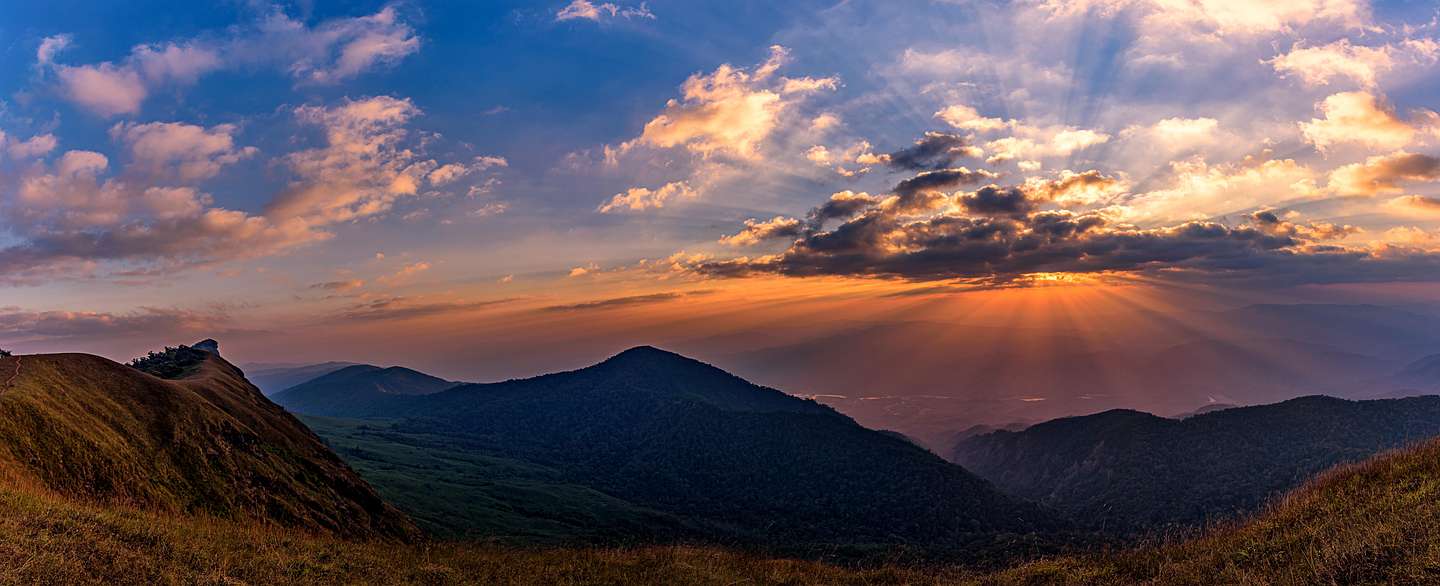 Natures_Embrace - Pixabay