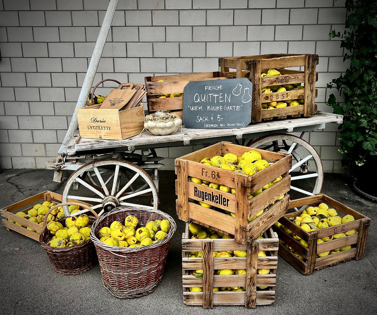 Quitten Quince Fruit - Free photo on Pixabay