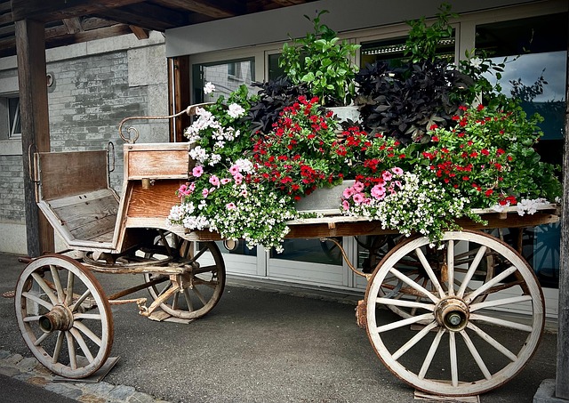 Wooden Carriage Vintage - Free photo on Pixabay