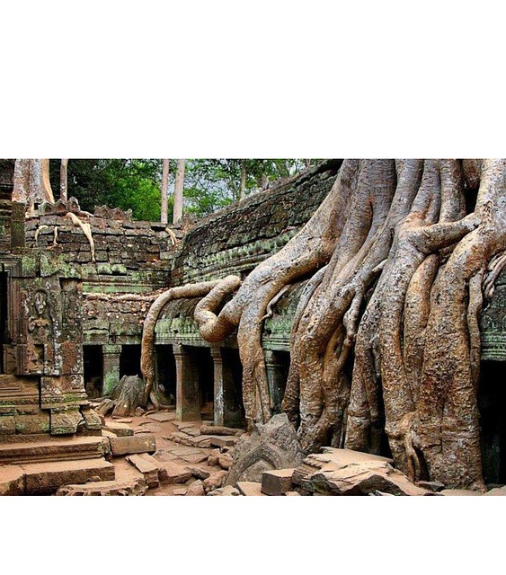 Cambodge Temple Angkor - Photo gratuite sur Pixabay