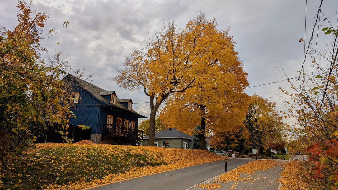 Autumn Street Golden Foliage Cozy - Free photo on Pixabay