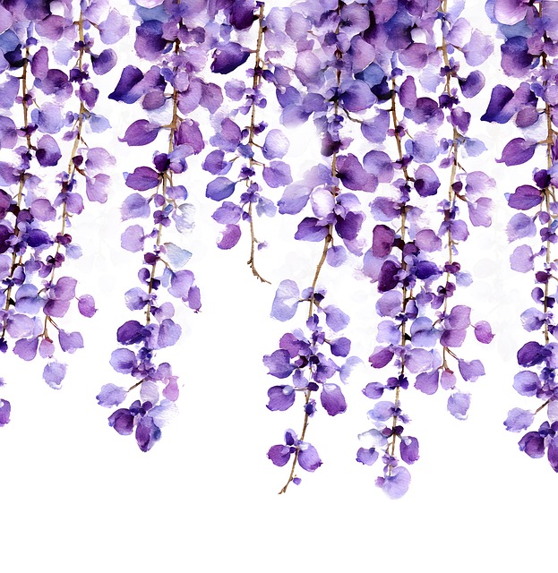 Download Colorful Vines, Vines, Purple. Royalty-Free Stock Illustration ...