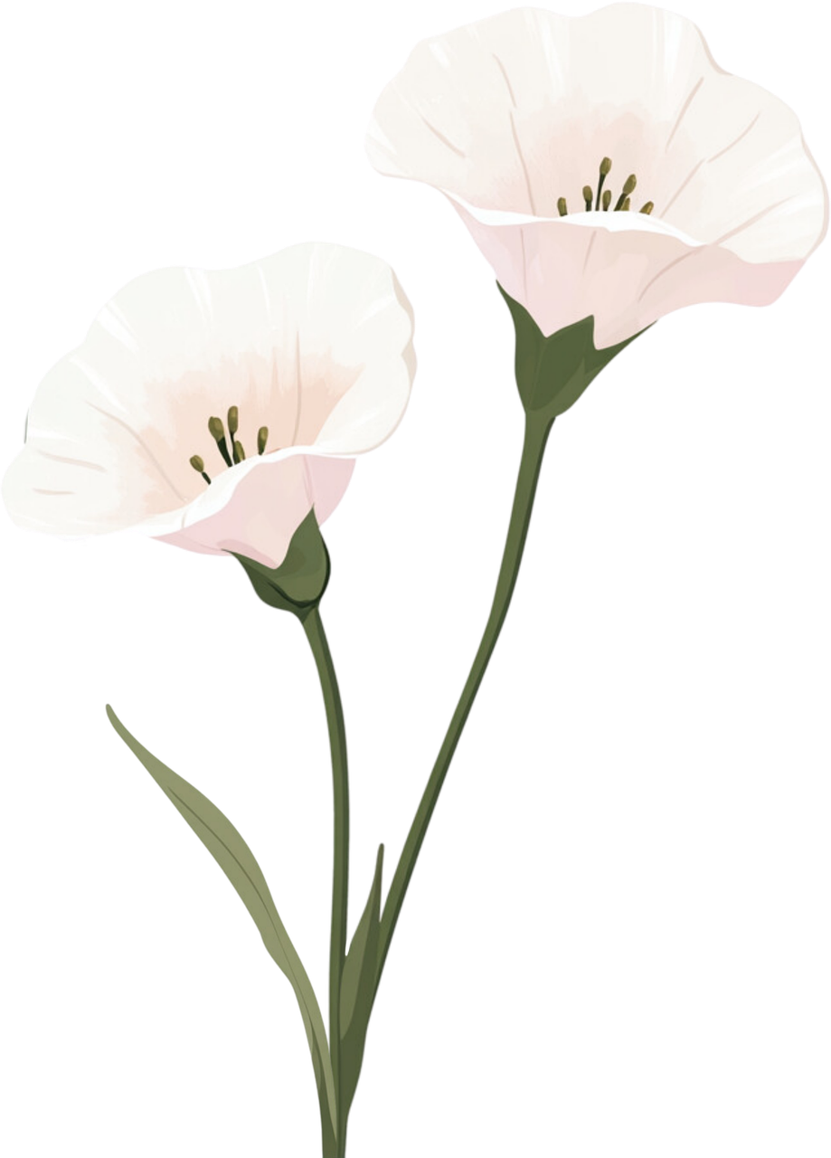 400.000+ Gambar Bunga Lisianthus & Bunga Gratis - Pixabay
