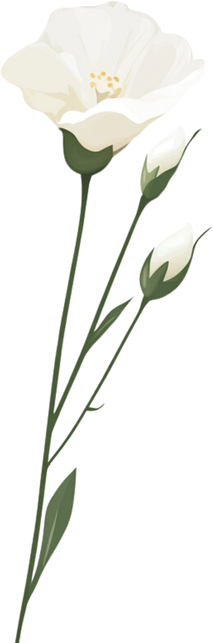 400.000+ Gambar Bunga Lisianthus & Bunga Gratis - Pixabay
