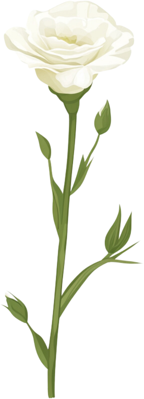 400.000+ Gambar Bunga Lisianthus & Bunga Gratis - Pixabay