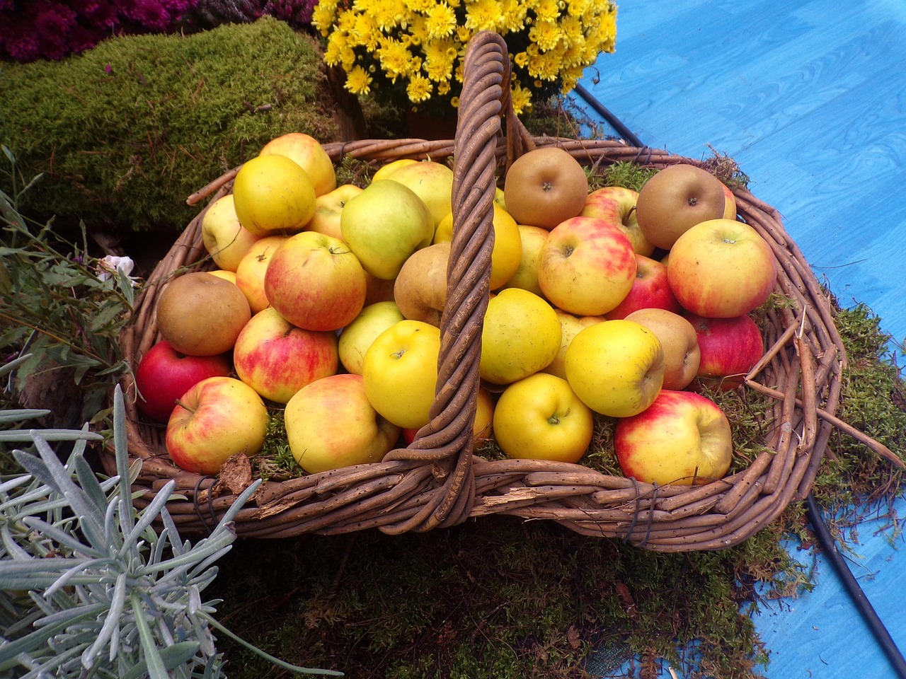 Pommes Frutas Nutrição - Foto gratuita no Pixabay