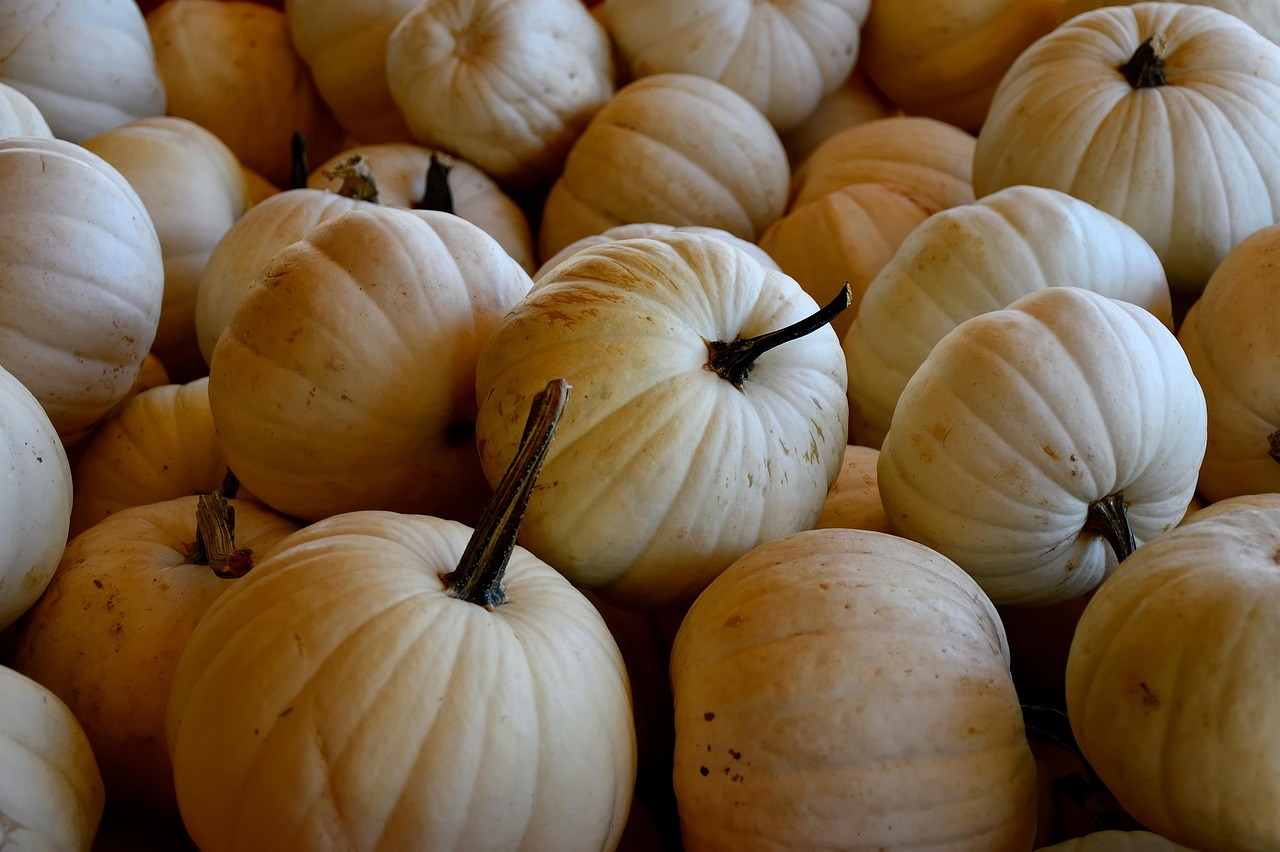 Blanche Citrouille Halloween - Photo gratuite sur Pixabay