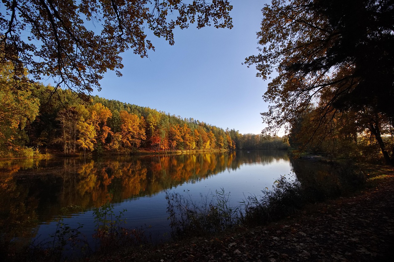 Water Lake Nature - Free photo on Pixabay