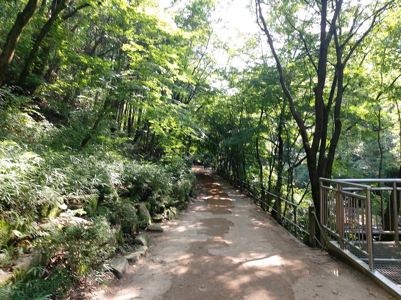 Cheonggyesan Bergsteigen Berg - Kostenloses Foto auf Pixabay
