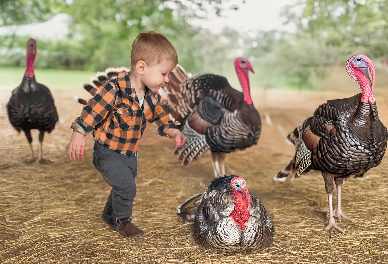 10,000+ Free Thanksgiving Scene & Thanksgiving Images - Pixabay