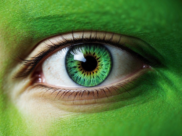 Ojo Visión Humano - Imagen gratis en Pixabay