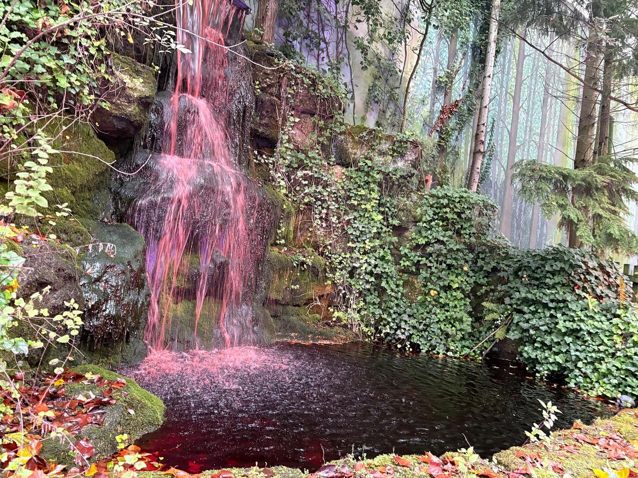 Rosa Wasserfall Natur - Kostenloses Foto auf Pixabay