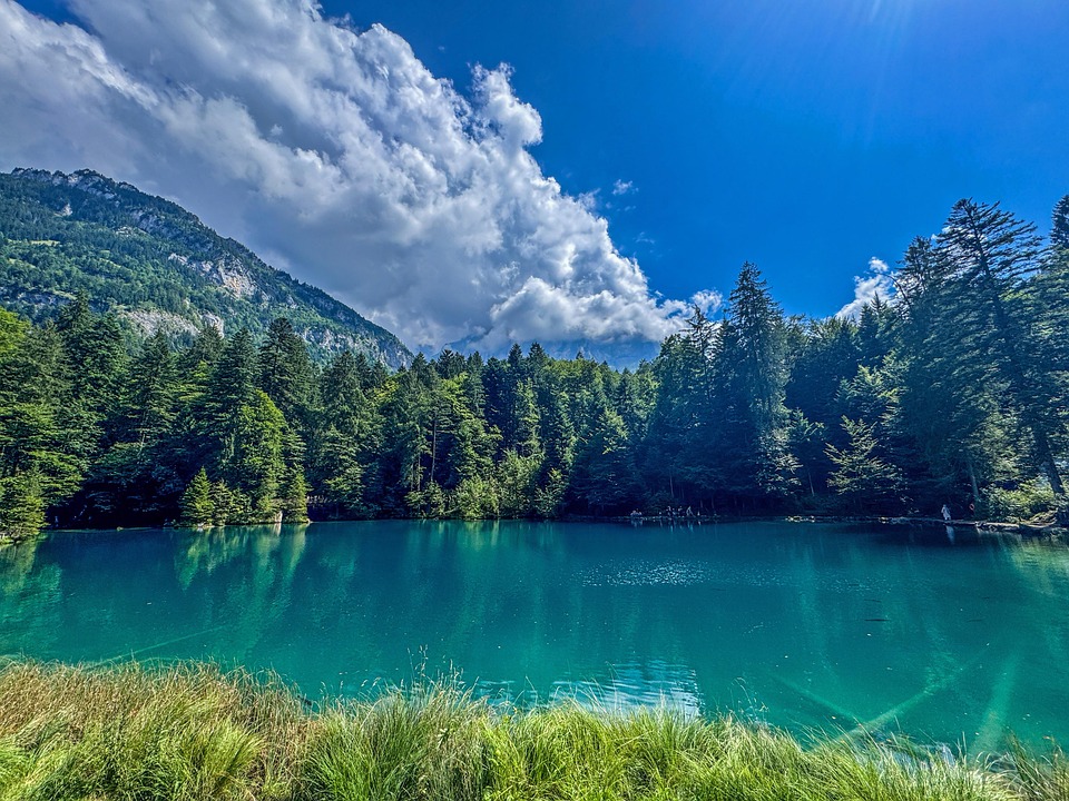 Lake Landscape Forest - Free photo on Pixabay