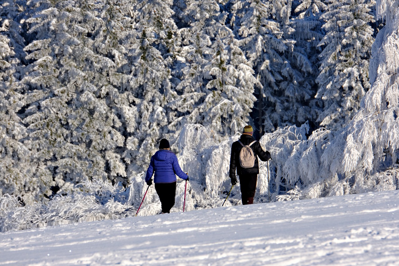 30,000+ Free People In Snow & Winter Photos - Pixabay