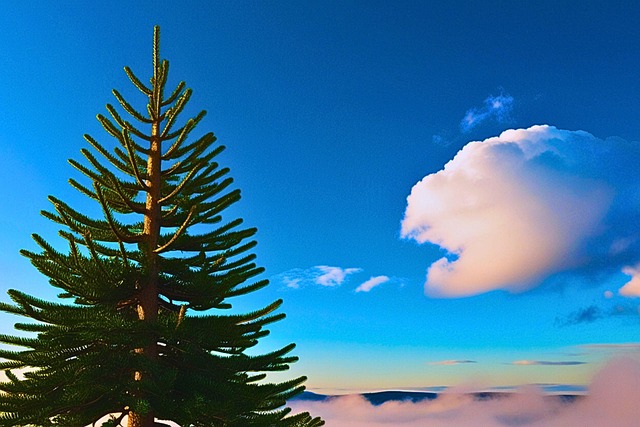 Foto Imagem Creative Commons - Foto gratuita no Pixabay