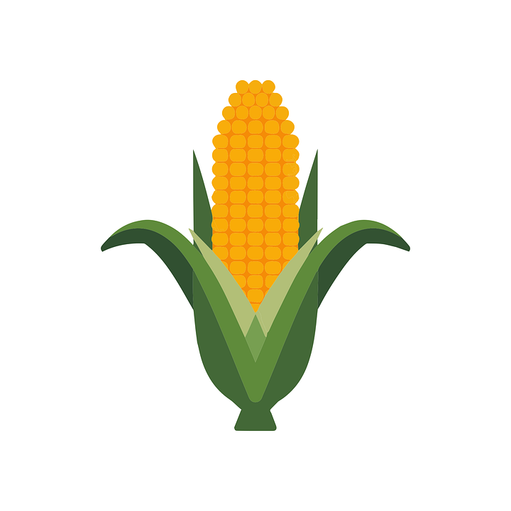 Download Corn, Harvest, Food. Royalty-Free Vector Graphic - Pixabay