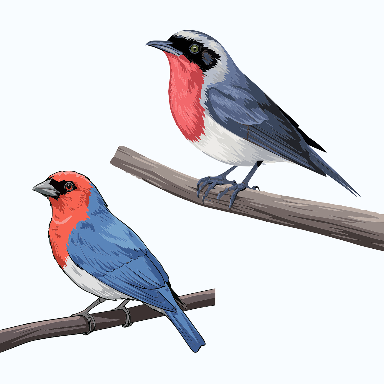Download Bird, Nature, Animal. Royalty-Free Vector Graphic - Pixabay