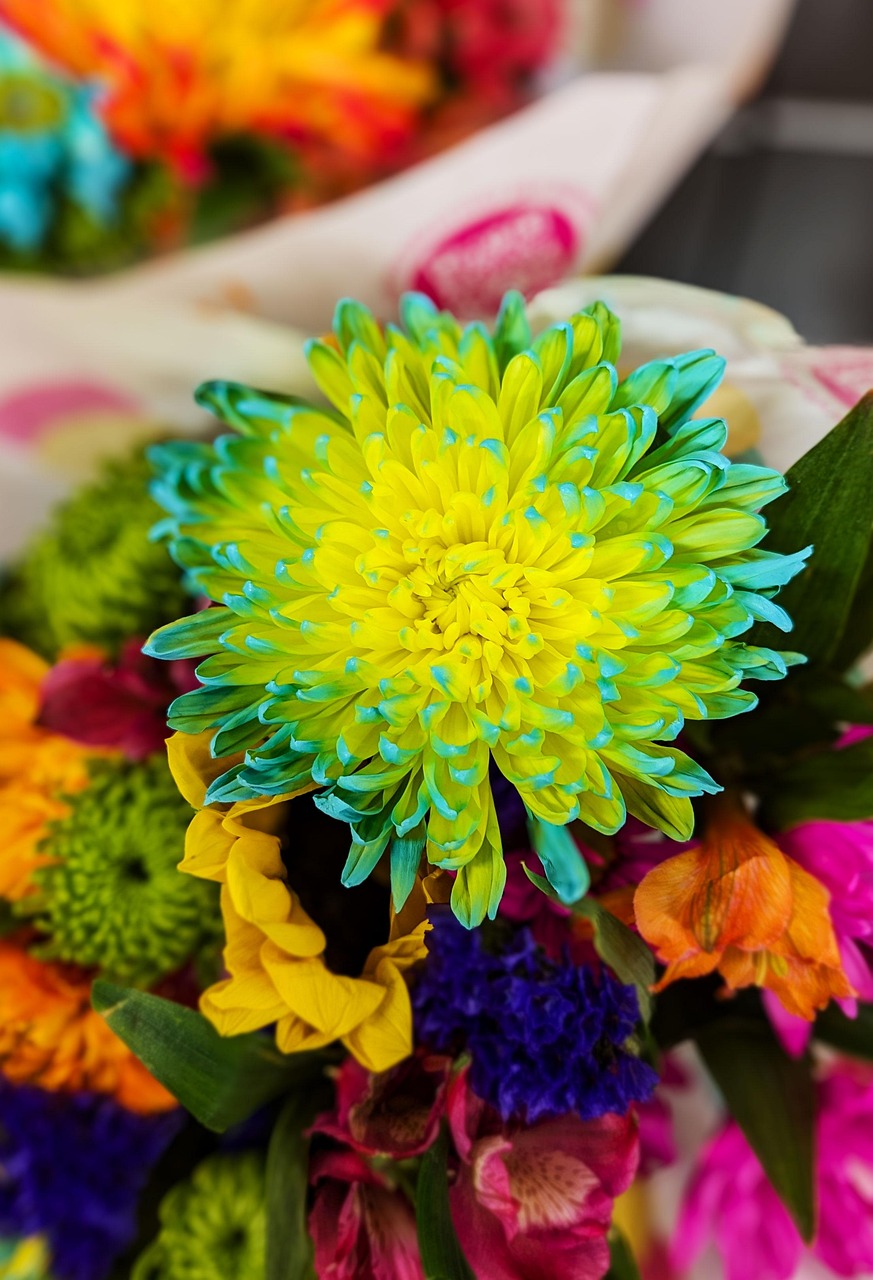 700 多张免费的“Florist”和“花店”照片 - Pixabay