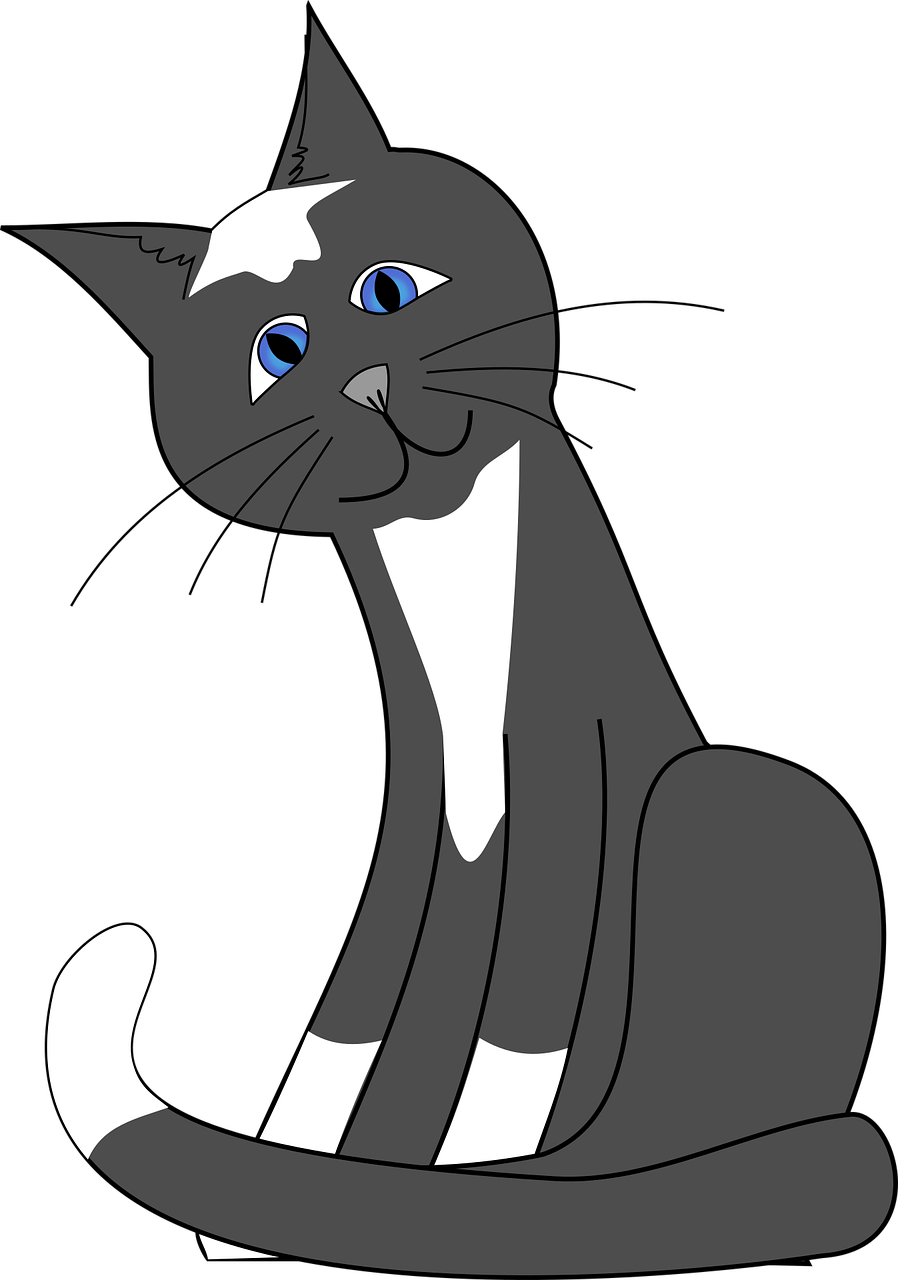 Download Cat, Mittens, Grey. Royalty-Free Vector Graphic - Pixabay