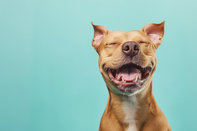 Download Dog, Smiling, Nature. Royalty-Free Stock Illustration Image ...
