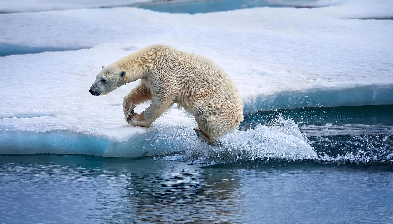 Download Ai Generated Polar Bear Bear Royalty Free Stock