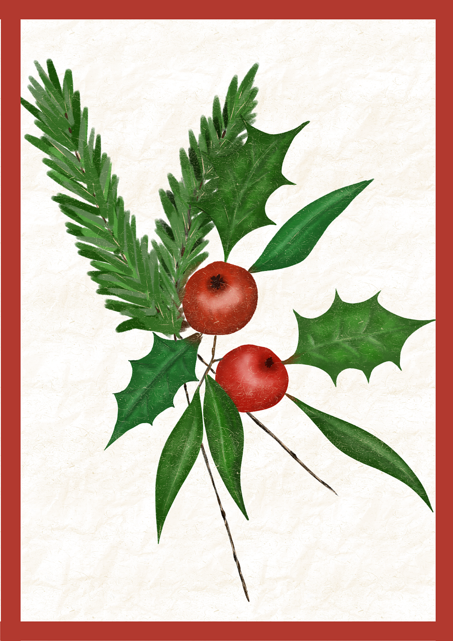 Explore 6,973+ Free Holly And Berries Illustrations: Download Now - Pixabay