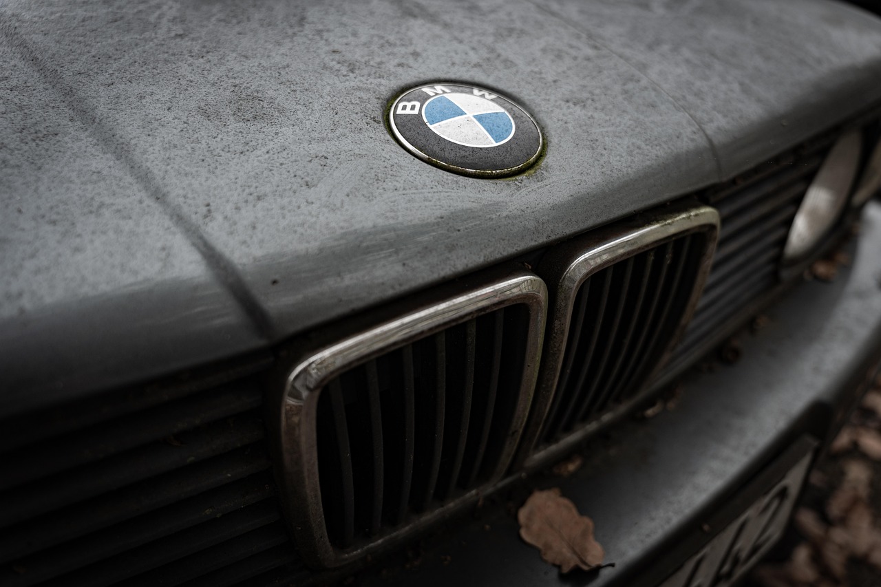 Autumn Bmw Classic Car - Free photo on Pixabay