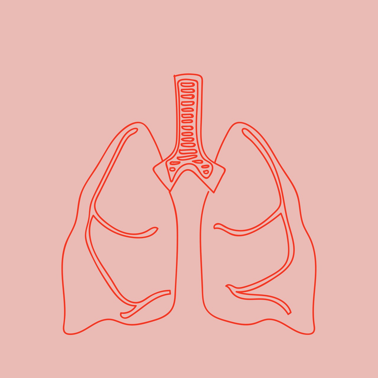 Más de 70 000 imágenes gratis de Dibujos De Pulmones y Pulmones - Pixabay