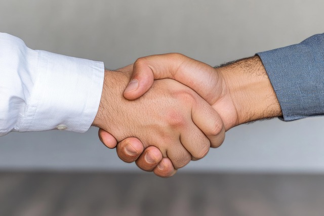 20,000+ Free Business Partnership & Partnership Images - Pixabay