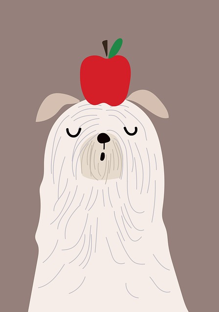 Chien Chiot Pomme - Image gratuite sur Pixabay