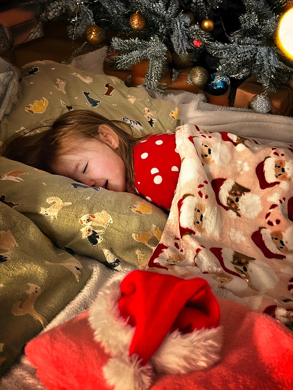 20,000+ Free Sleep Christmas & Christmas Images - Pixabay