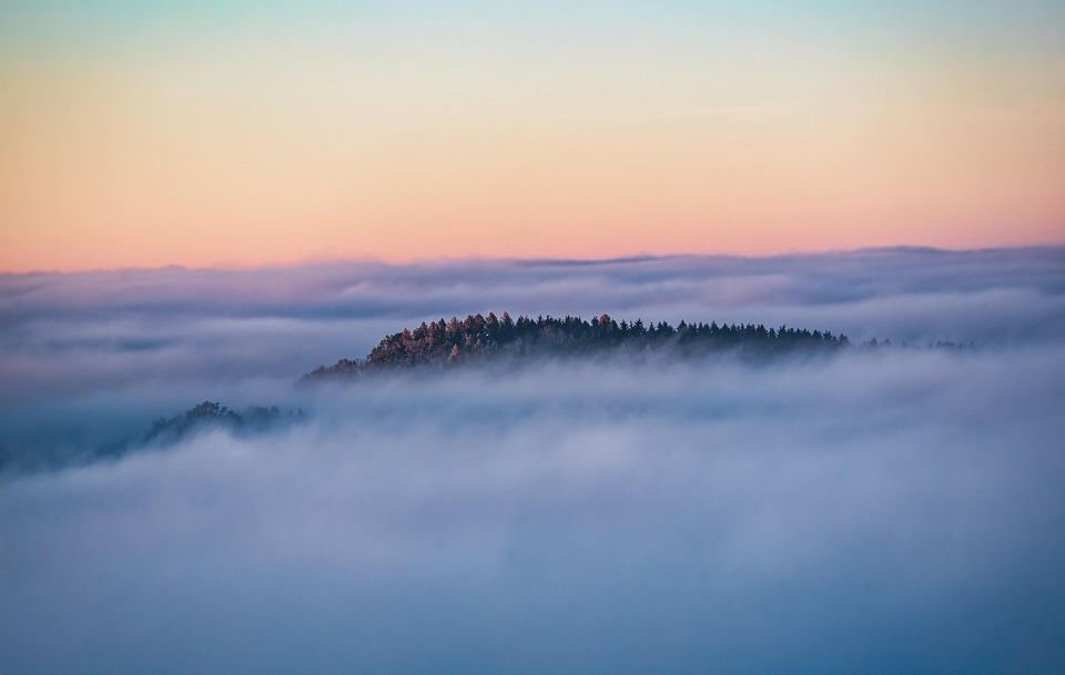 Mood Nature Forest - Free photo on Pixabay