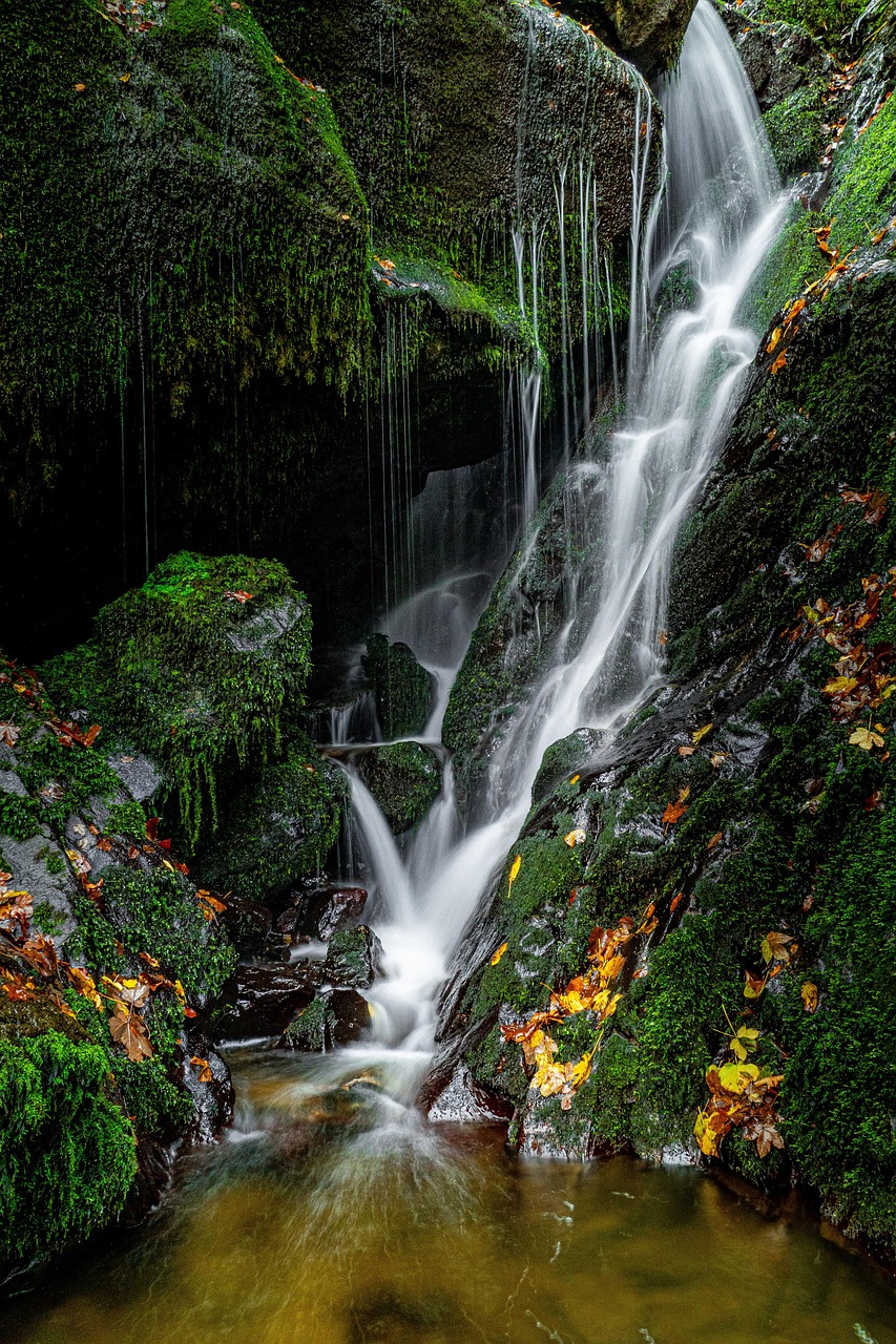 30,000+ Free Forest Waterfall & Waterfall Images - Pixabay